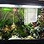 Interpet Fish Pod Glass Aquarium Fish Tank, 120 L: Amazon.co.uk: Pet ...