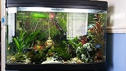 Interpet Fish Pod Glass Aquarium Fish Tank - 120 L: Amazon.co.uk: Pet ...