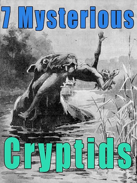 Watch 7 Mysterious Cryptids | Prime Video