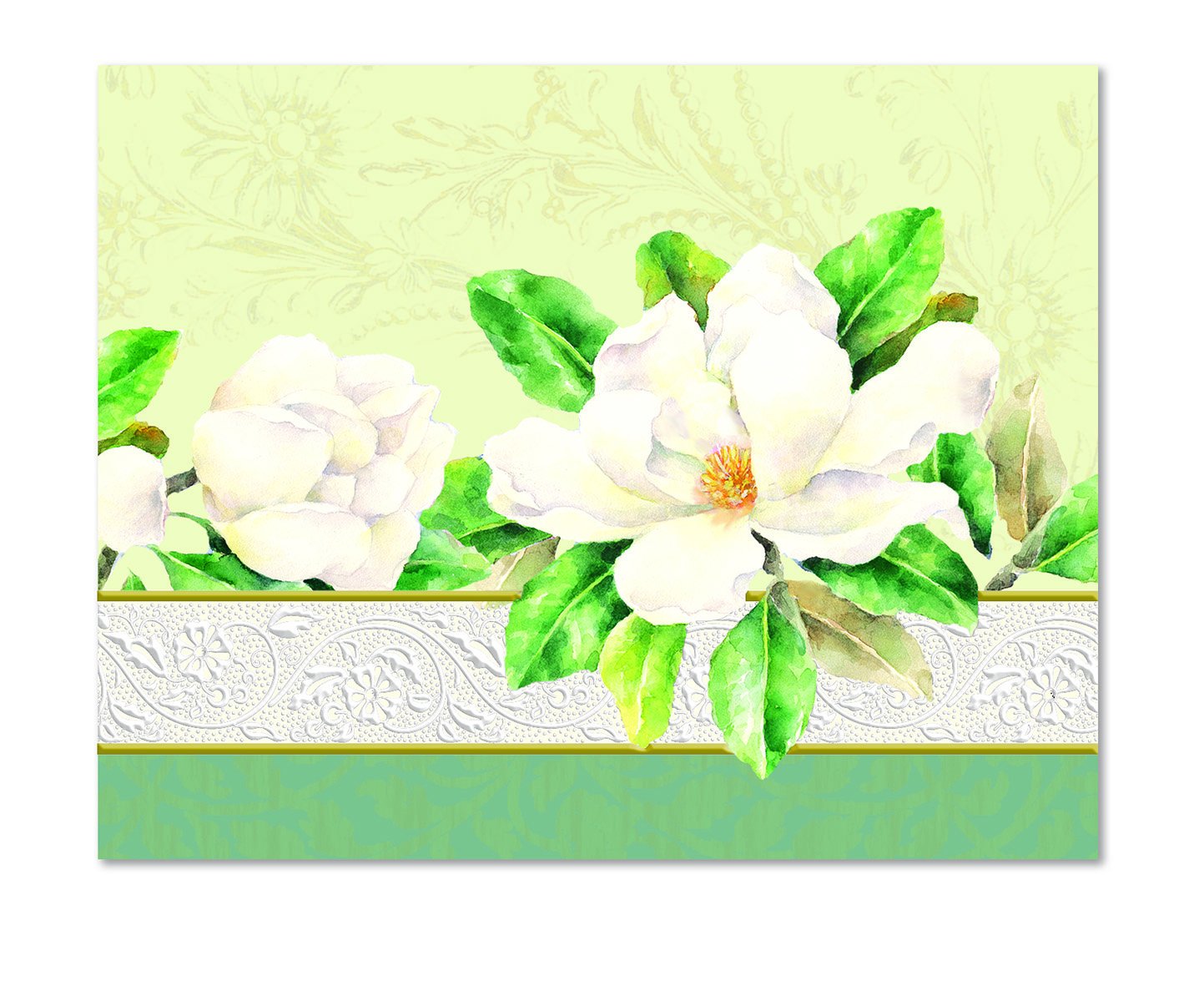 Amazon.com: Carol Wilson Fine Arts Inc.- White Orchid - Embossed & Die ...