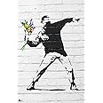 Amazon.com: AllPosters Wall Poster Banksy- Rage, Flower Thrower by ...