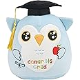 Amazon.com: Preschool Graduation Owl Plush Toy: 8-Inch Blue Owl ...