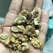 GO Organic Light Broken Walnuts (Without Shell) 1Kg (250gm x 4)…: Amazon.in: Grocery & Gourmet Foods