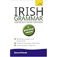 Teach Yourself Irish Grammar You Really Need to Know: A Practical ...