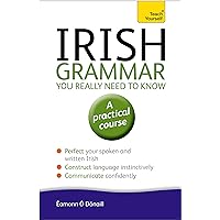 Teach Yourself Irish Grammar You Really Need to Know: A Practical ...