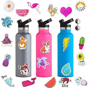 Amazon.com: Water Bottle Stickers, Vsco for Hydro Flask Stickers ...