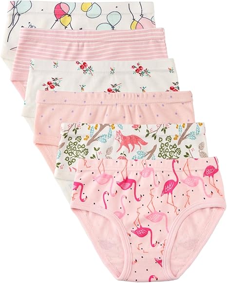 6 Pack Little Girl Underwear Cotton Fit Age 1-7, Baby Girls Panties ...