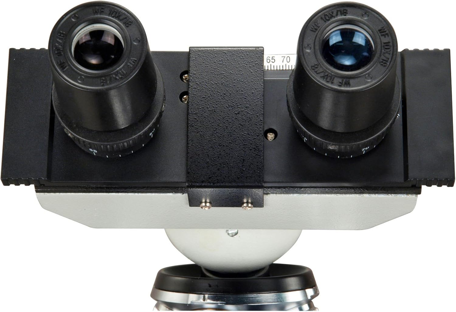 OMAX 40X-2500X LED Binocular Lab Compound Microscope with 5MP Camera and Mechanical Stage – BigaMart