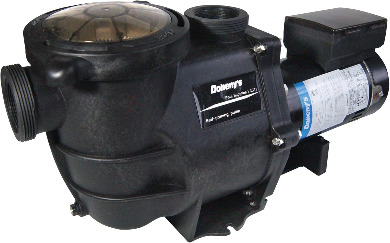 Amazon.com : Doheny's Pool Pro 2-Speed In-Ground Swimming Pool Pump (1 ...