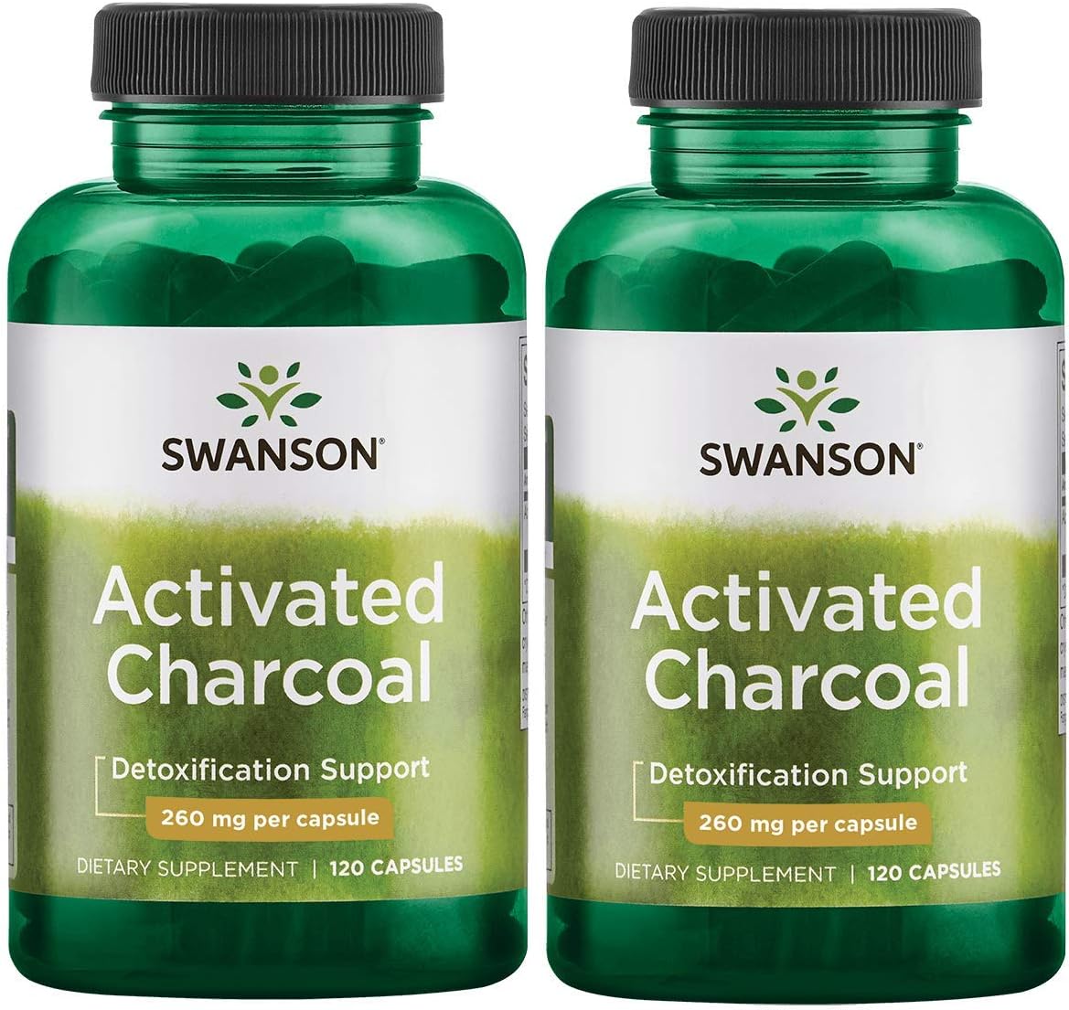Amazon.com: Swanson Activated Charcoal, Detox Support Supplement 260 mg ...
