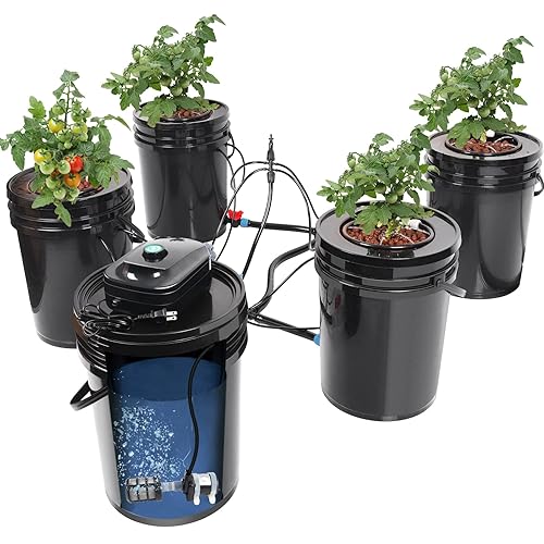 DWC Hydroponic Bucket System, Recirculating Top Feed Drip Hydroponics ...