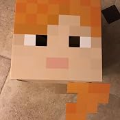 Amazon.com: JINX Minecraft Alex Head Costume Mask, Cardboard, 12x12x12 ...