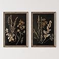 Amazon.com: Vintage Floral Wall Art Decor Black Botanical Canvas Art Moody Flower Wall Art Dark ...