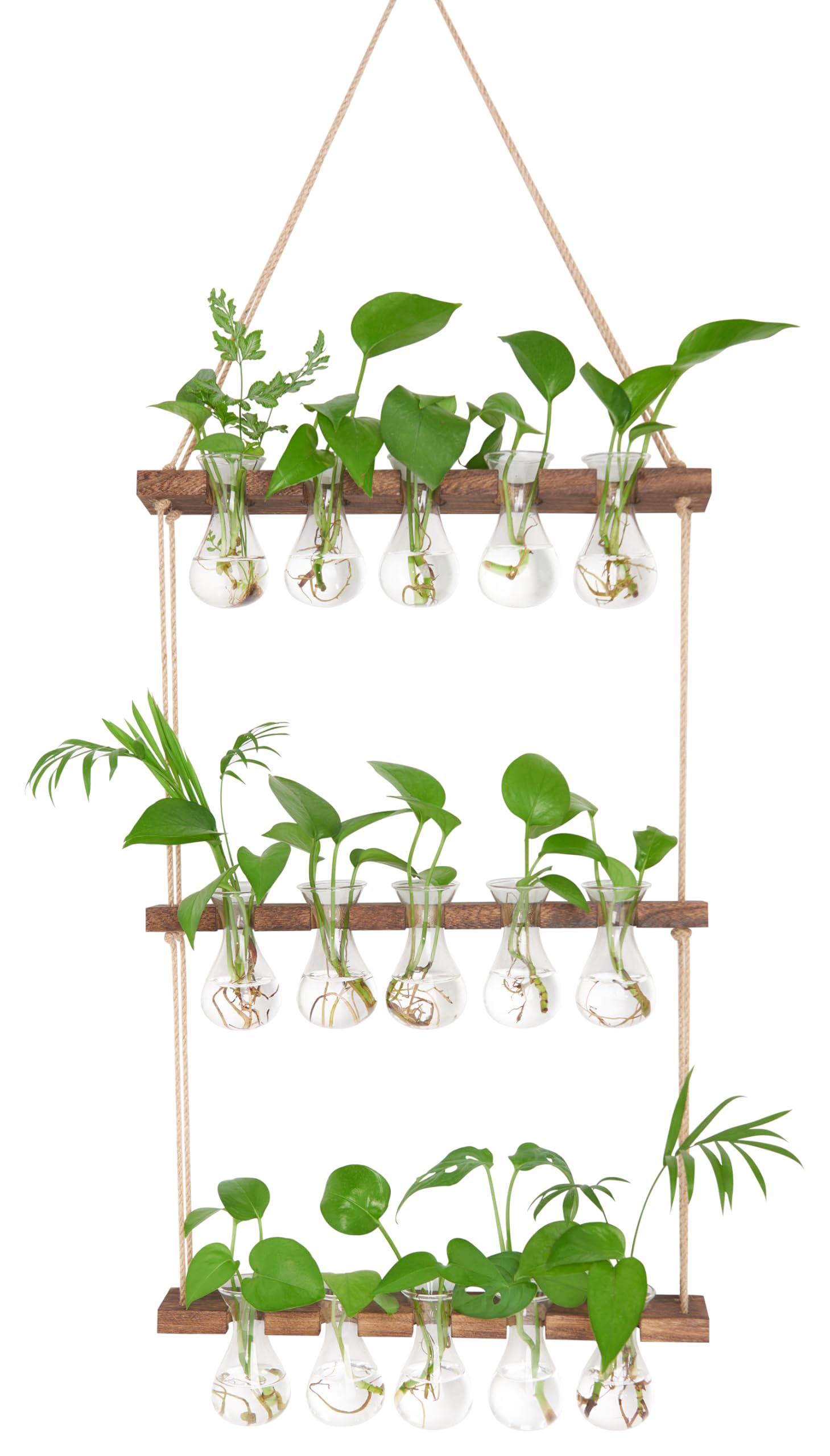 XXXFLOWER Wall Hanging Propagation Station with Wooden Stand 5 Bulb ...