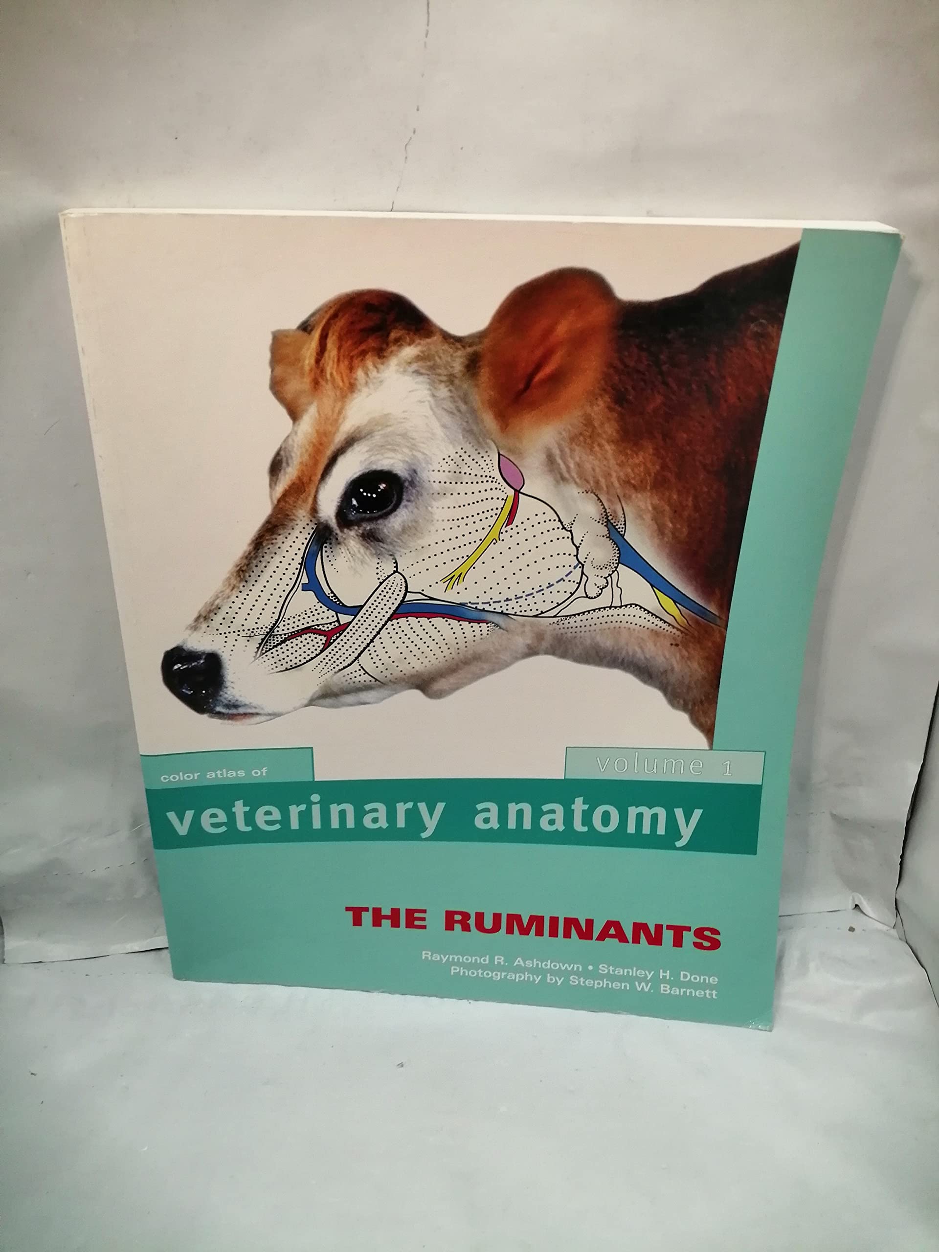 Veterinary Anatomy Atlas Color Atlas Of Veterinary Anatomy Volume 3