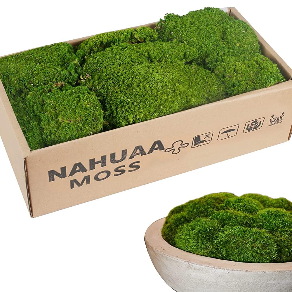 Mua NAHUAA 2.15 Sq.Ft Preserved Moss, Moss for Crafts Natural Reindeer ...