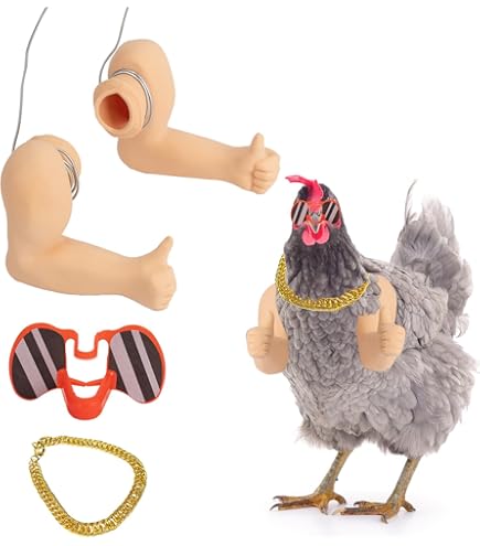 Chicken Toy HOKKIEAM 3pcs Plastic Chicken Arms To Put On Chickens ...