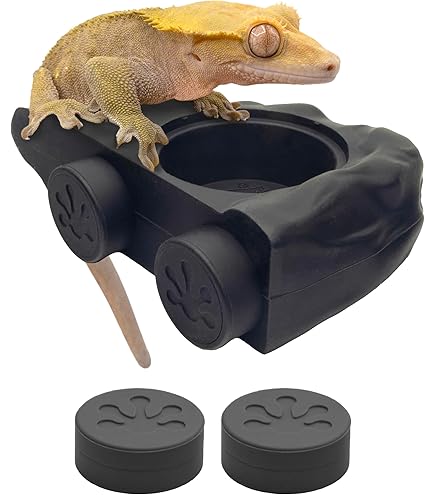 Magnetic Decor Large Magnetic Worm Feeder Ledge Granite - Removable Cup ...