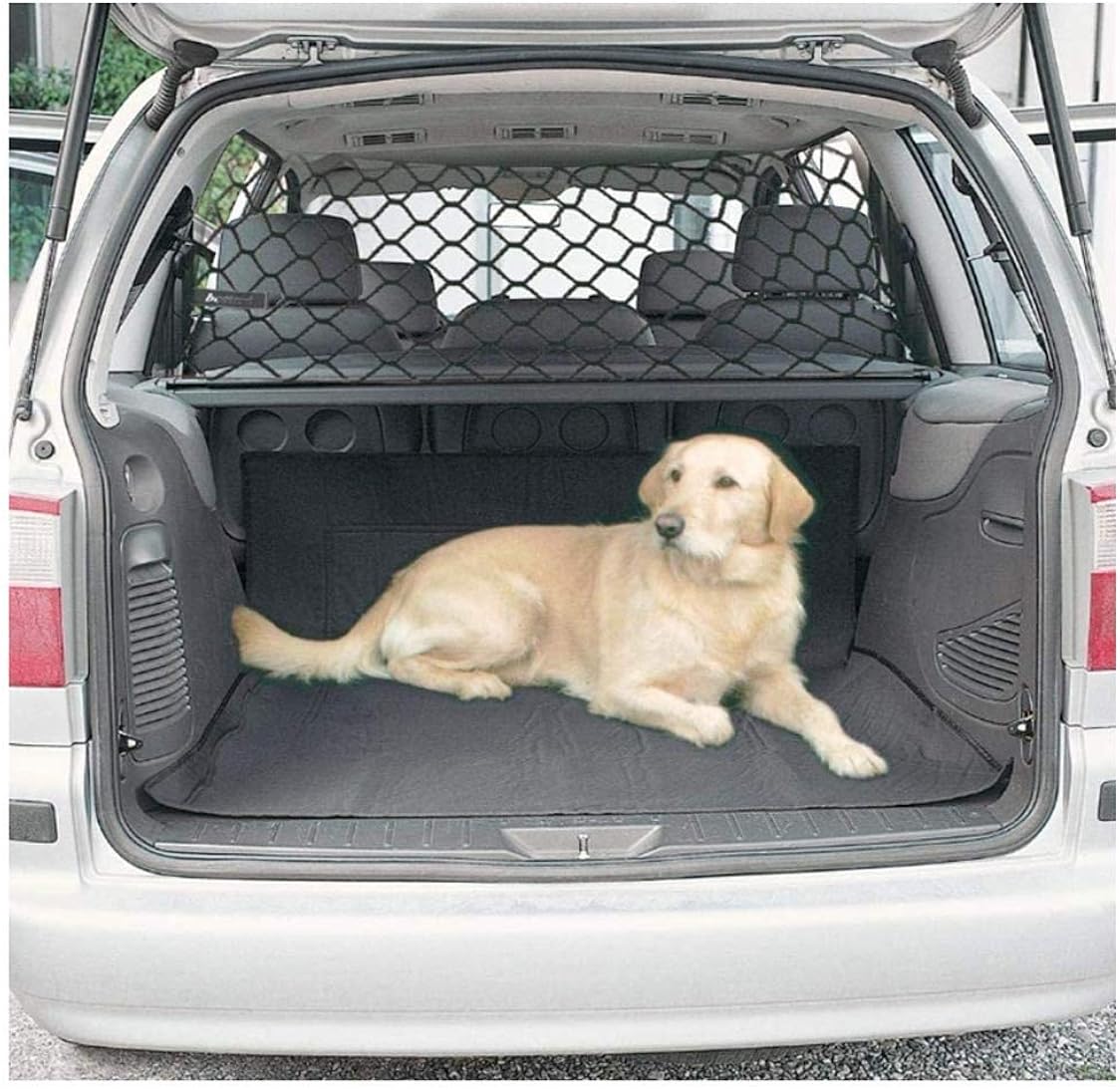 Trennnetz/Hundenetz, Einstellbares tragbares Hundeauto-Trennnetz für ...