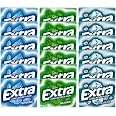 Amazon.com : Extra Long Lasting Sugar Free Chewing Gum, Polar Ice ...