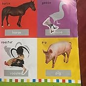 First 100 Animals Sticker Book: Over 500 Stickers: Roger Priddy ...
