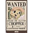 Amazon.com: Trends International One Piece - Chopper Wanted Poster Wall ...