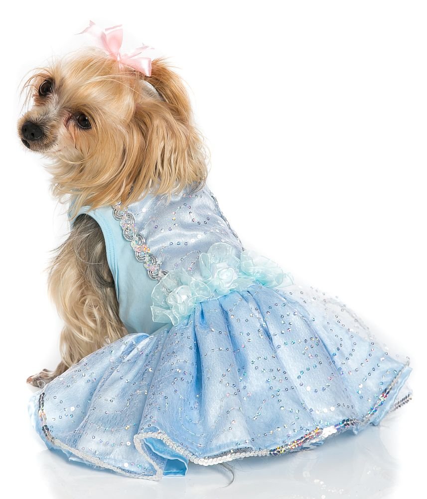 Cinderella Costumes For Dogs