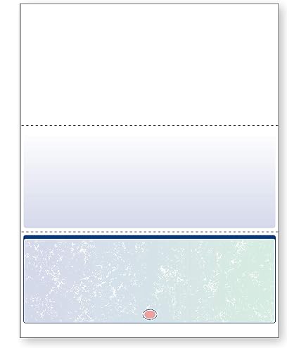 Cheque Printer DocuGard Security Checks - 500 Blank Business Checks ...