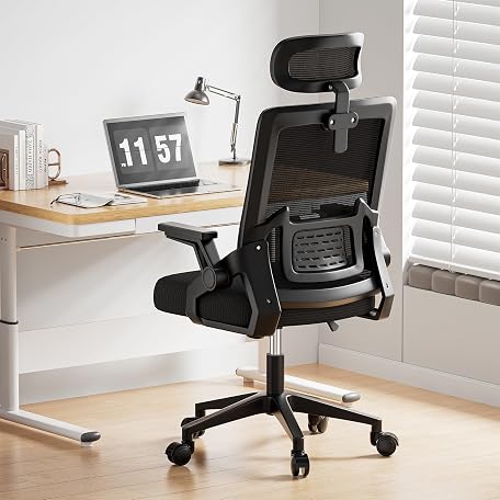 Mua Dilosso Office Chair, Desk Chair, Lumbar Support Bar, Mesh ...
