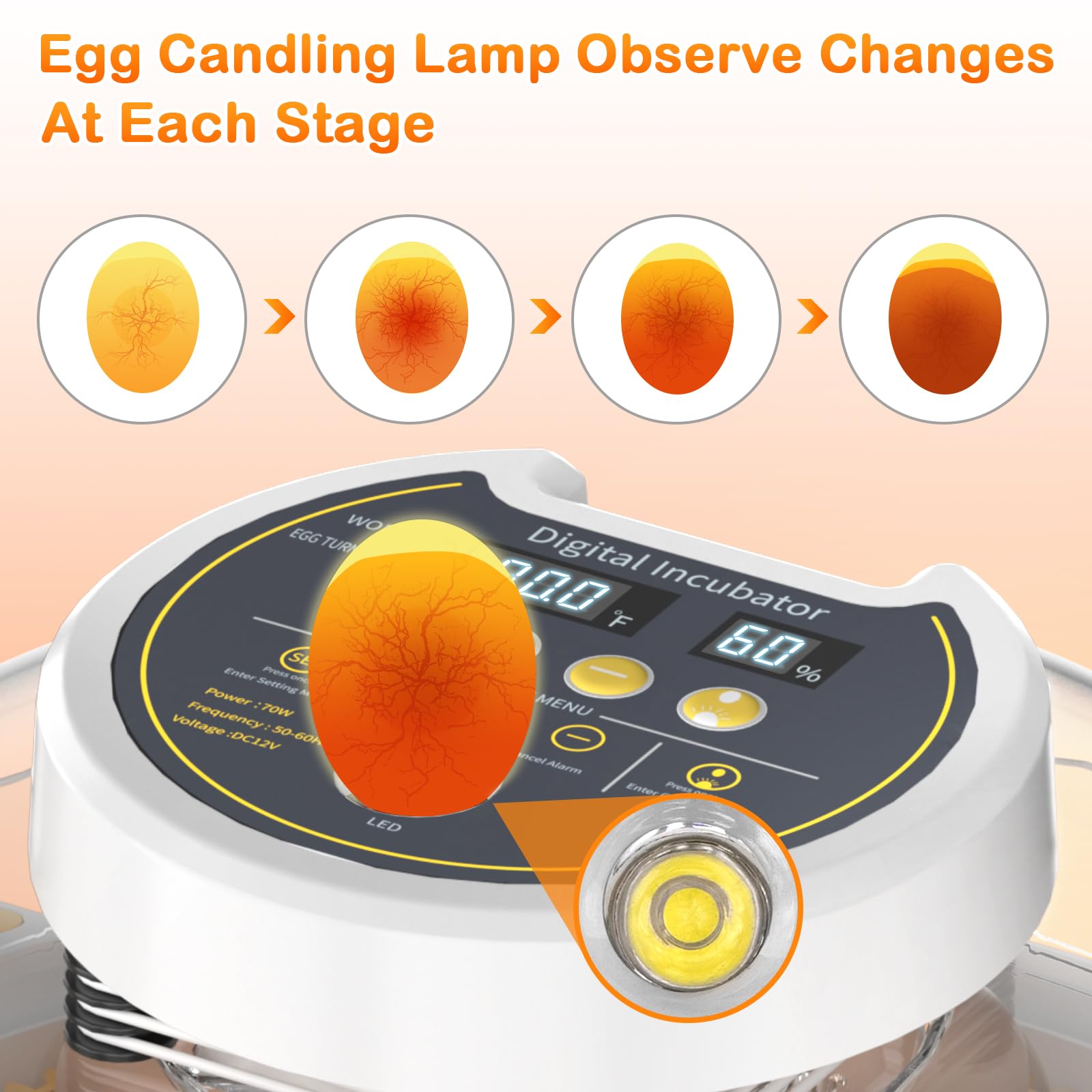Mua Incubator for chicken Eggs, 18 Egg incubator with automatic Egg turning and humidity control ...