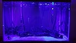 Amazon.com: AQUATICLIFE Reef Edge LED Aquarium Light Fixture, 48 ...