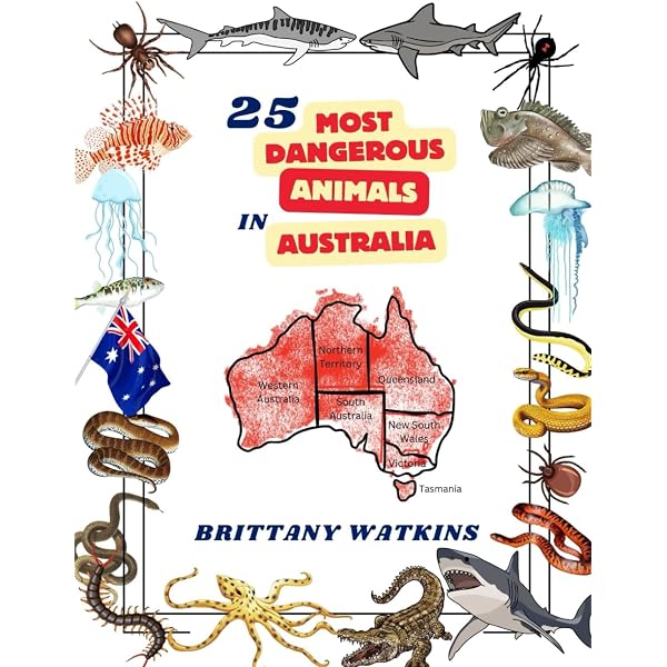 List Of Dangerous Animals In Australia
