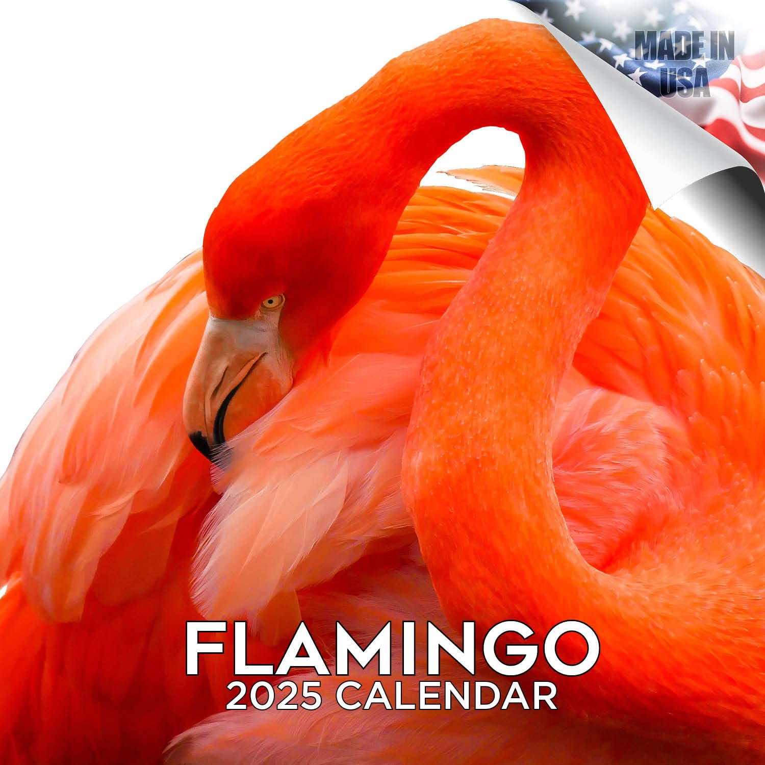 Mua 2025 2026 Flamingo Calendar - Cute Wildlife Monthsly Wall Calendar ...