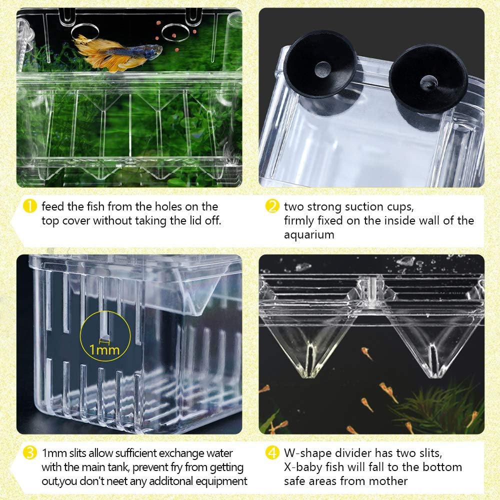 Aquarium Fish Breeding Box, NETUEM Acrylic Double Layer Fish Isolation ...