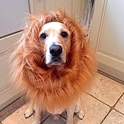 Pet Dog Lion Wigs Mane Hair Party Fancy: Amazon.co.uk: Pet Supplies
