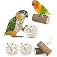 Amazon.com : Bissap 7PCS Small Parrot Toys, Natural Sola Balls Bark ...