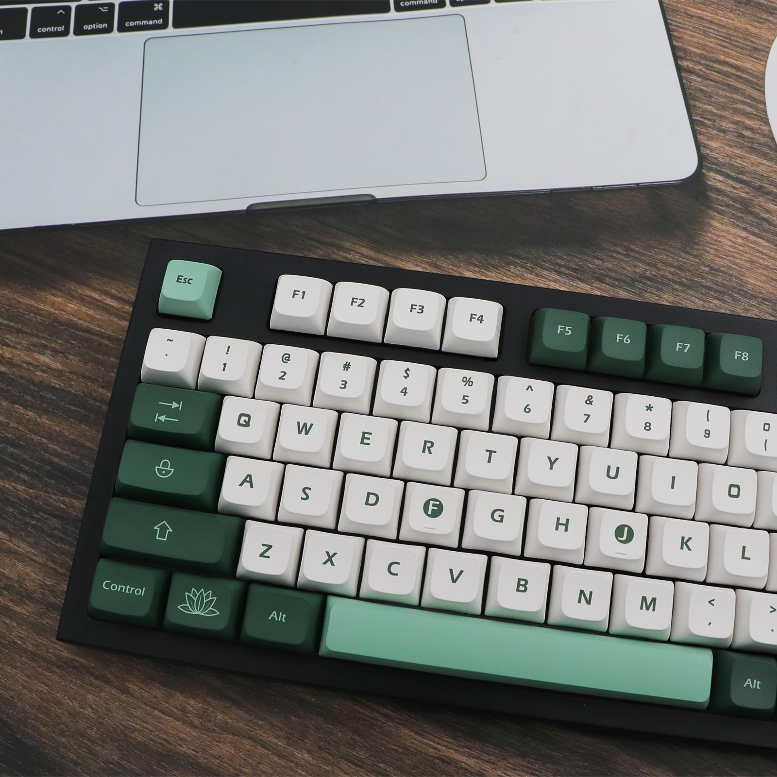 Mua JSJT XDA Keycaps- PBT Keycaps 137 Keys Custom Keycap Set Botanical ...