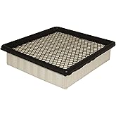 Amazon.com: ACDelco GM Original Equipment A3100C Air Filter : Automotive