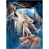EmptyZ Diamond Painting Kits for Adults Wolf Moon DIY 5D Full Drill ...