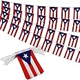 Amazon.com : Puerto Rico String Flag Pennant Banner - 38 Flags, 42 Feet ...