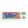 Amazon.com: Clevy Colored Keyboard - Lower Case Large Print Letters and ...