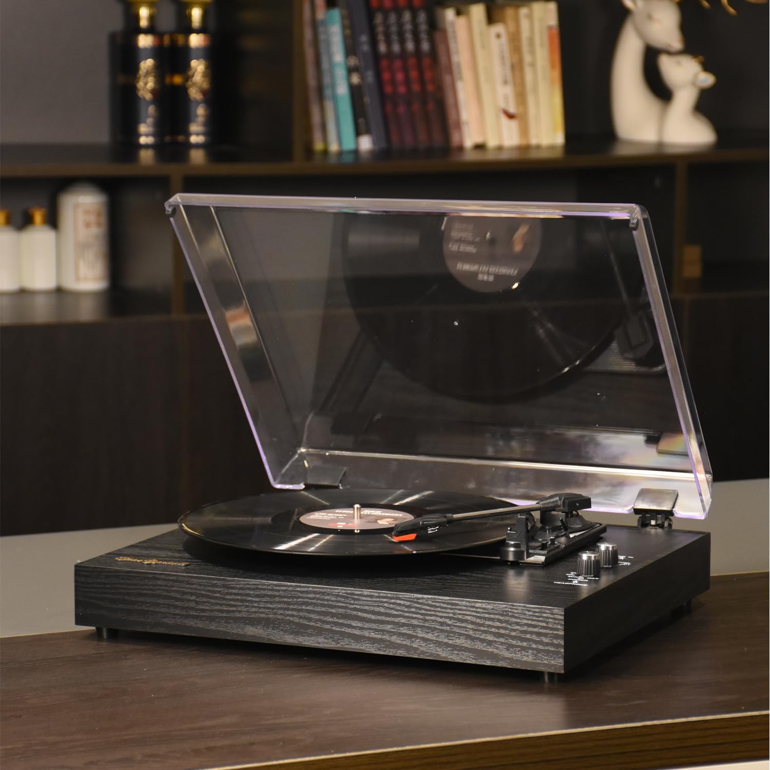 Mua Vinyl Record Player with Built-in Stereo Speakers, Bluetooth ...