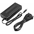 Amazon.com: 42V 2A Charger for Hiboy Electric Scooter Charger - (for ...