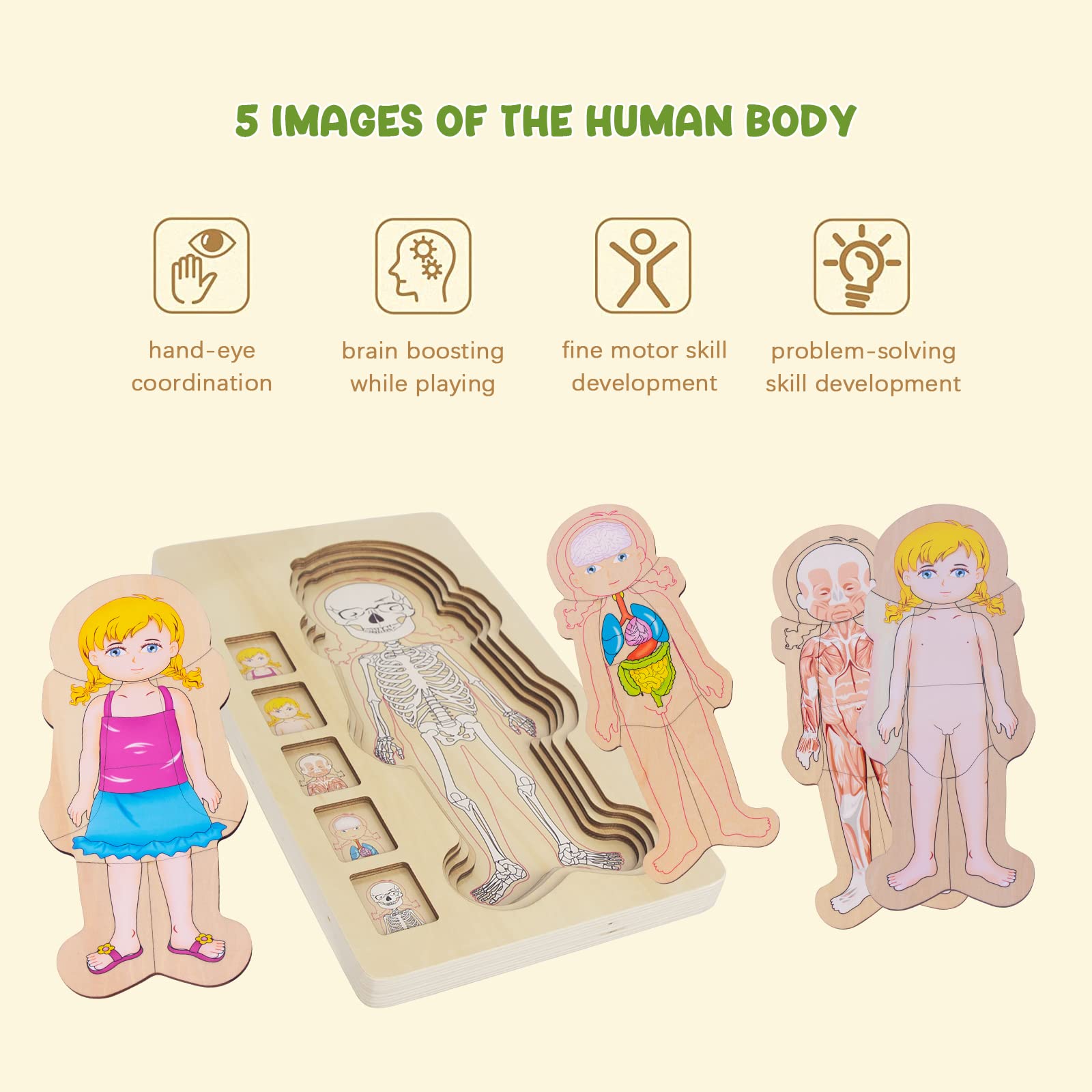 Mua WOODENFUN Human Body Puzzles for Kids 3-5,Wooden Montessori Anatomy ...