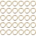 Amazon.com: 30Pcs Trigger Spring O Rings 1 inch Round Carabiner Snap ...