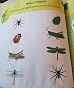 The Backyard Bug Book for Kids: Storybook, Insect Facts, and Activities ...