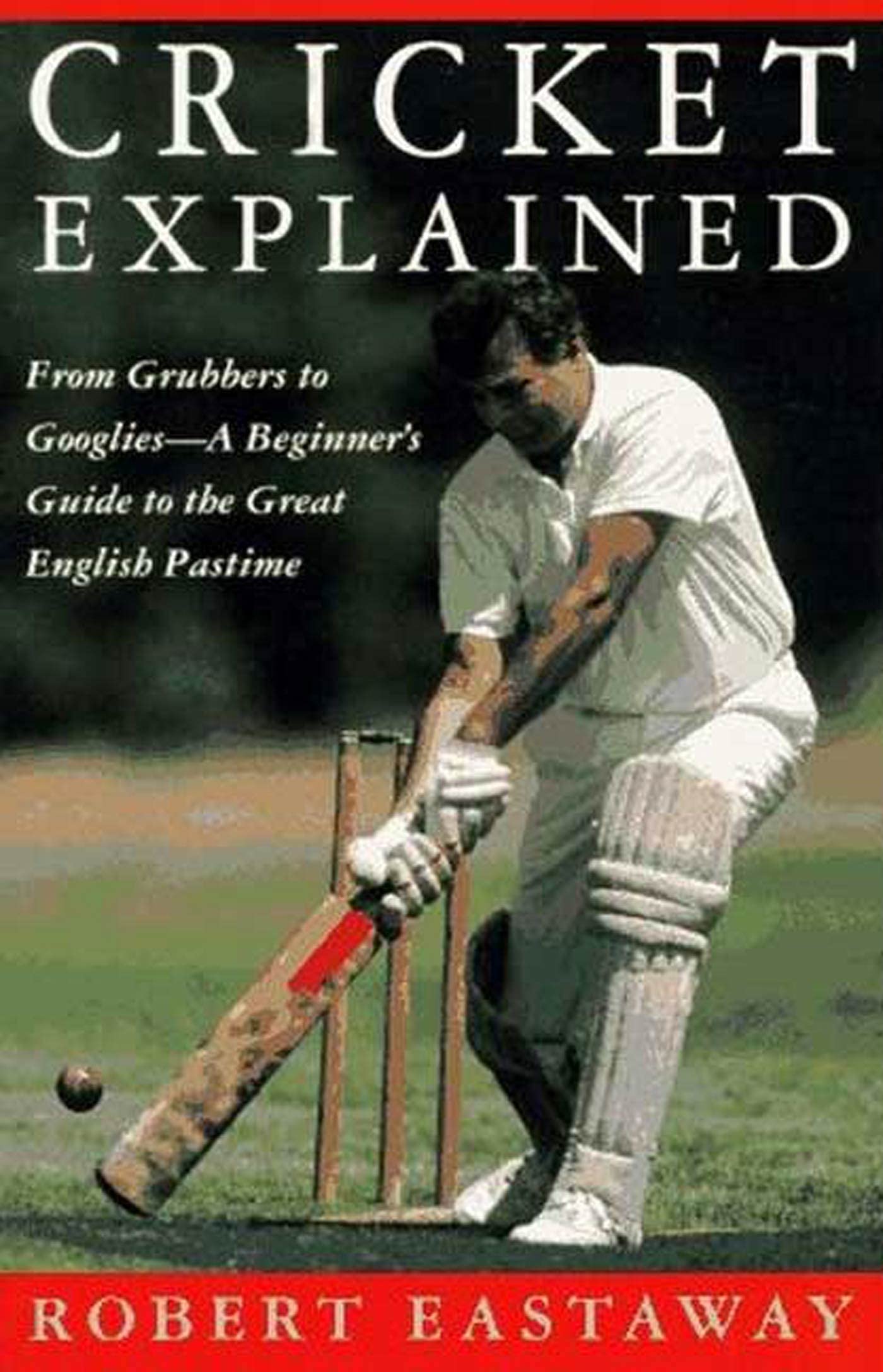 Mua Cricket Explained: From Grubbers to Googlies - A Beginner's Guide ...