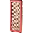 Amazon.com: ECOGARD XA5567 Premium Engine Air Filter Fits 2005-2008 ...