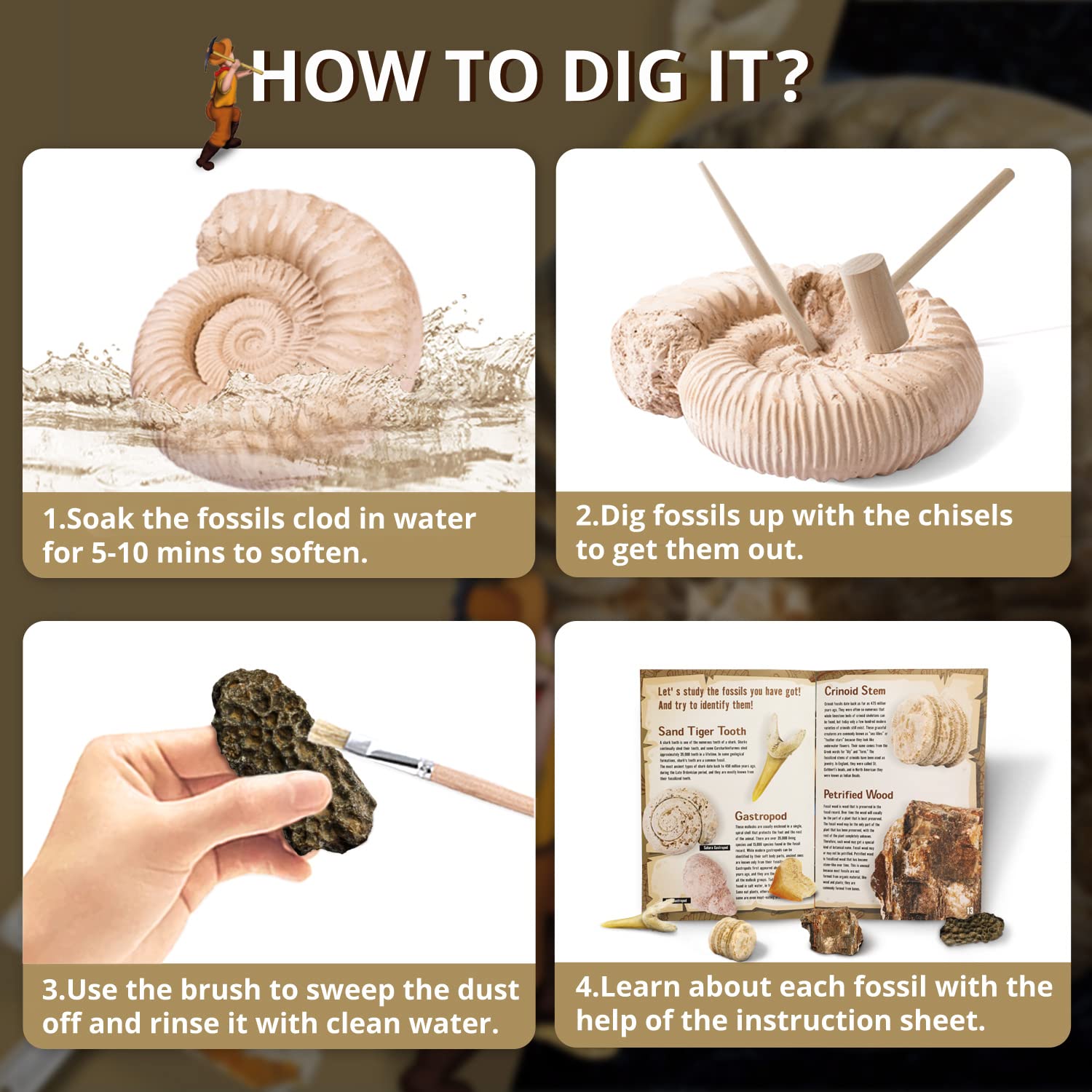 Mua Byncceh Mega Fossil Dig Kit - Excavate 12 Prehistoric Fossils ...