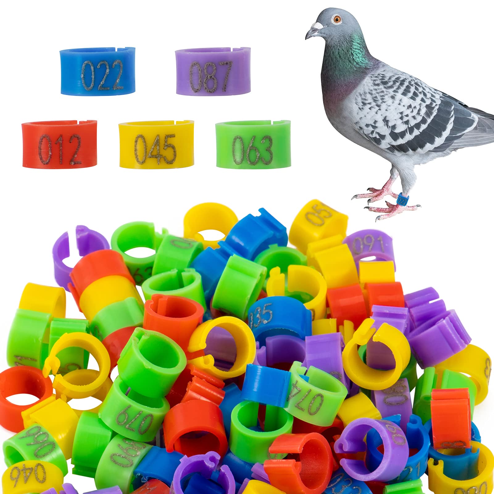 Mua MEWTOGO 8mm 100 Pcs Bird Pigeons Leg Rings - Colorful Readable ...